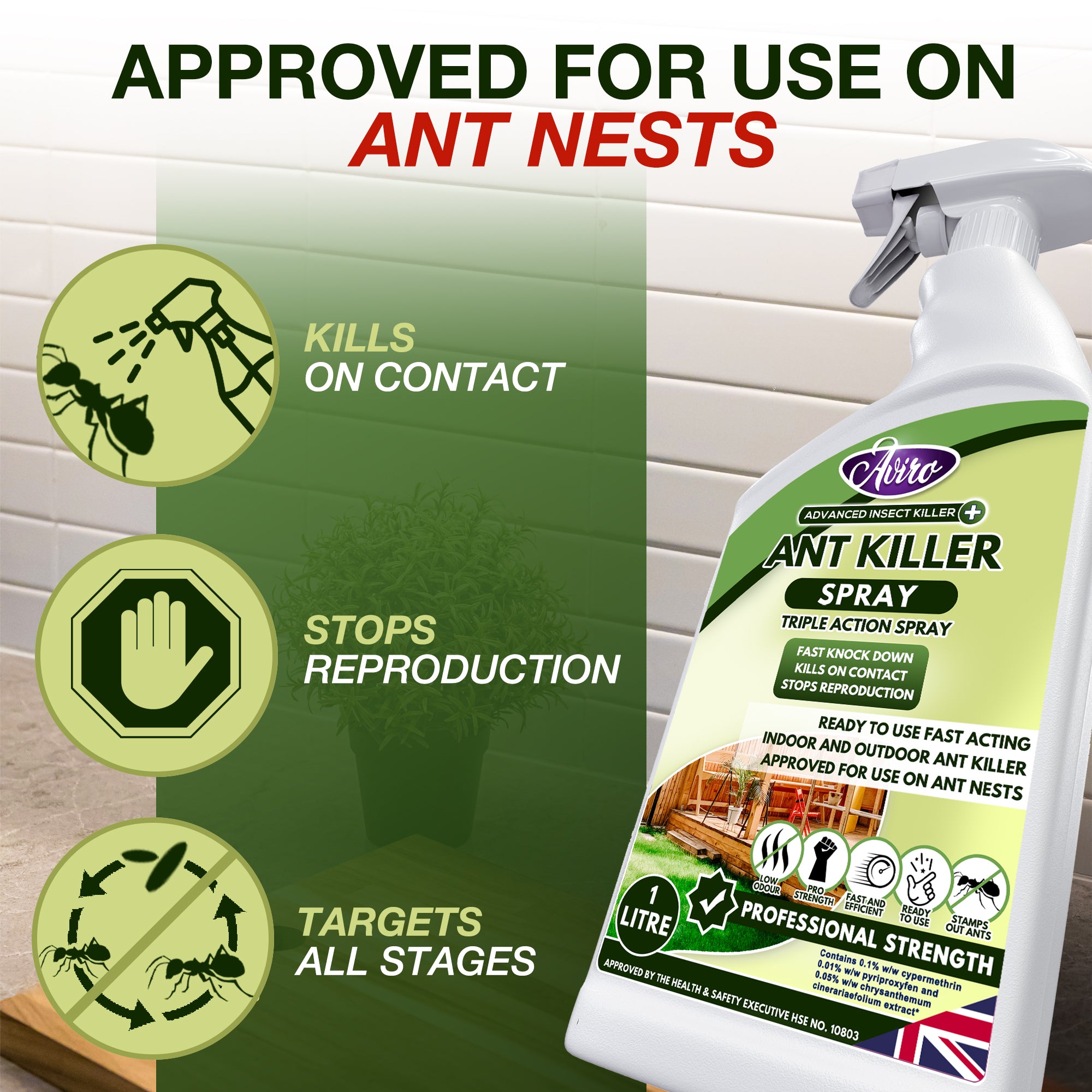 aviro best ant killer, crawling insect repellent spray and powder ...