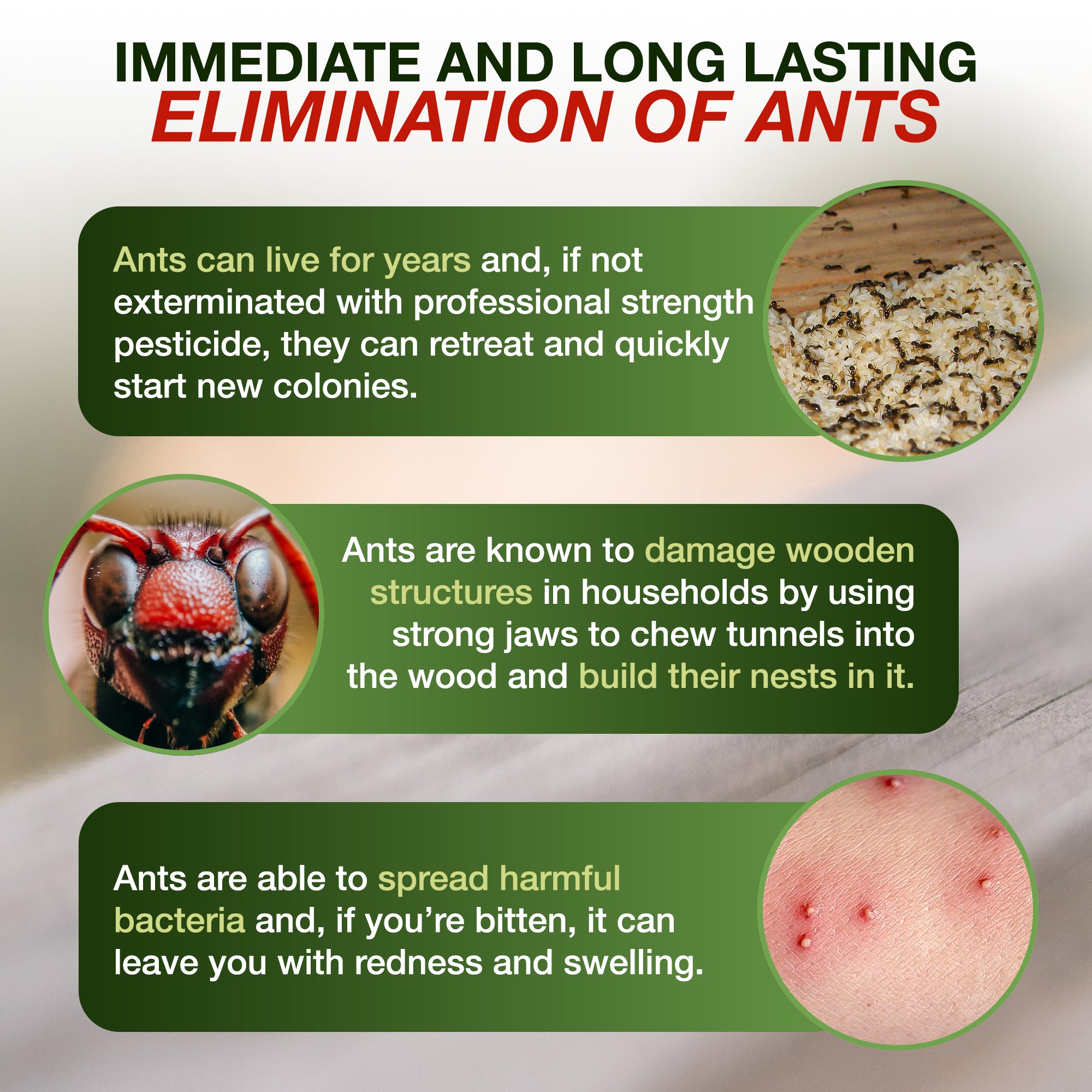 aviro best ant killer, crawling insect repellent spray and powder ...